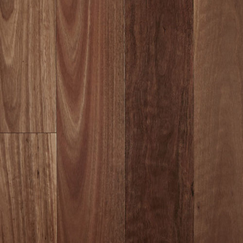 Rustic Spotted Gum, Brush Matt Fiddleback Collection Australian ...