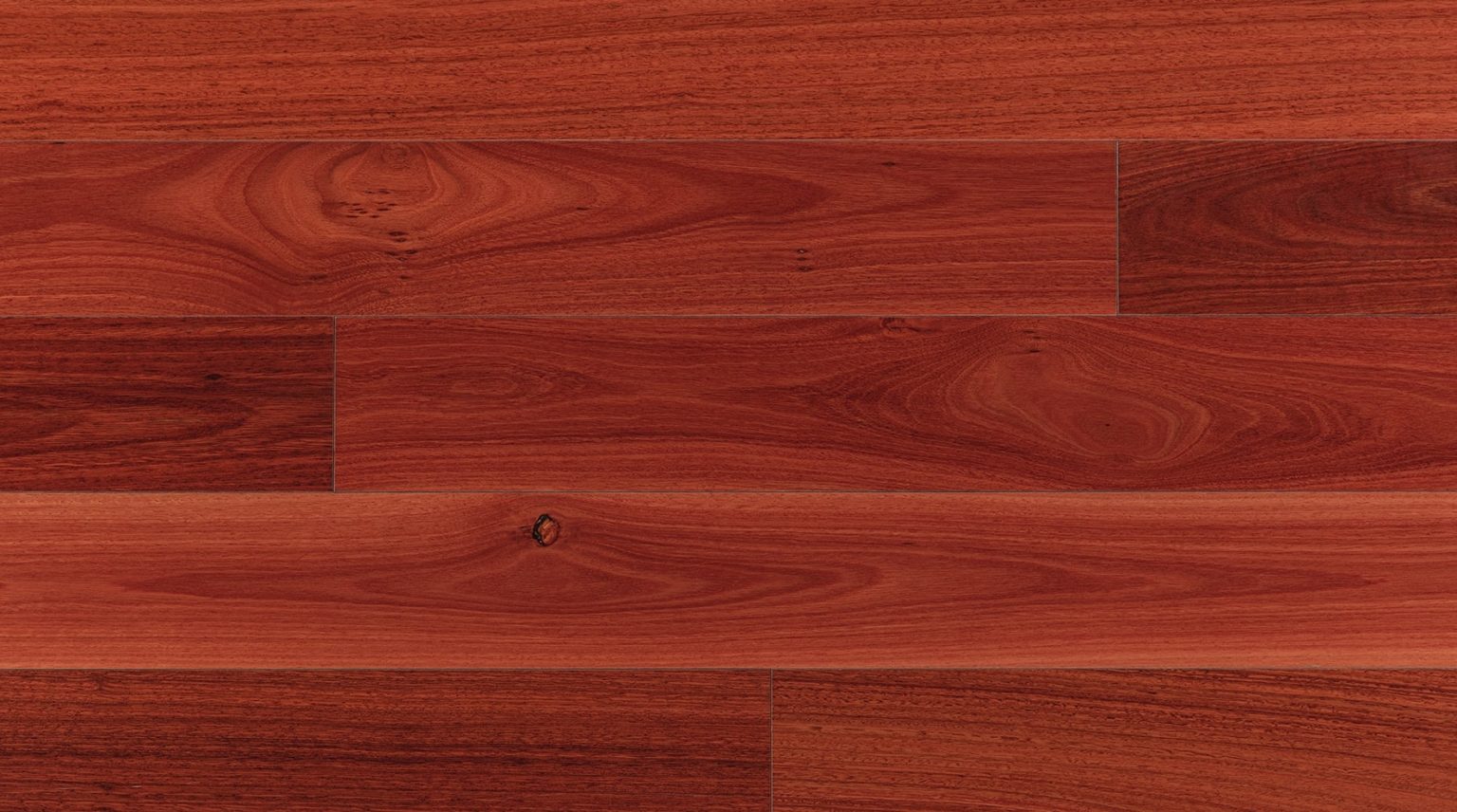 Looking at Jarrah Timber Flooring? [Updated 2025 Guide] | FloorVenue