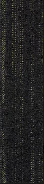 Moss Smooth Carpet Tiles Carpet Supply & Install | FloorVenue