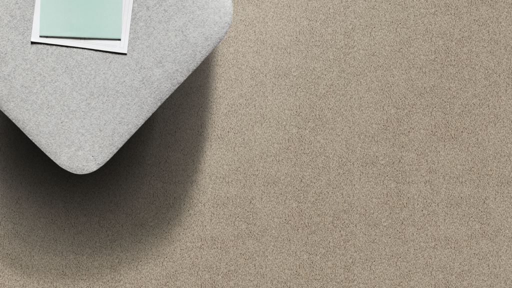 Almond Mystic Charm Nylon Carpet Supply & Install | FloorVenue